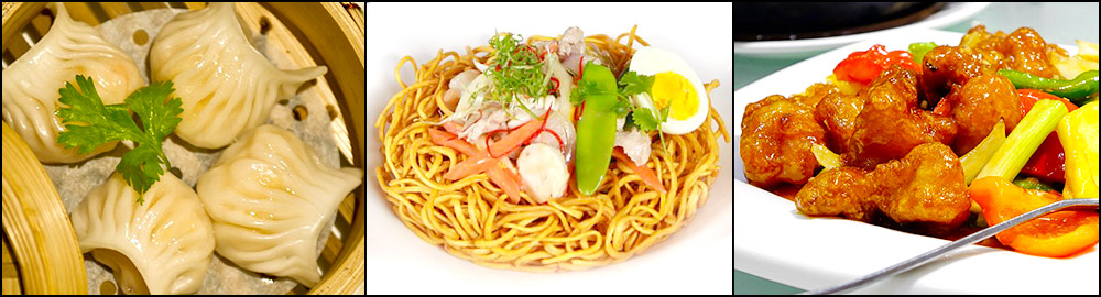 Joy Wok - Portland, OR 97225 (Menu & Order Online)